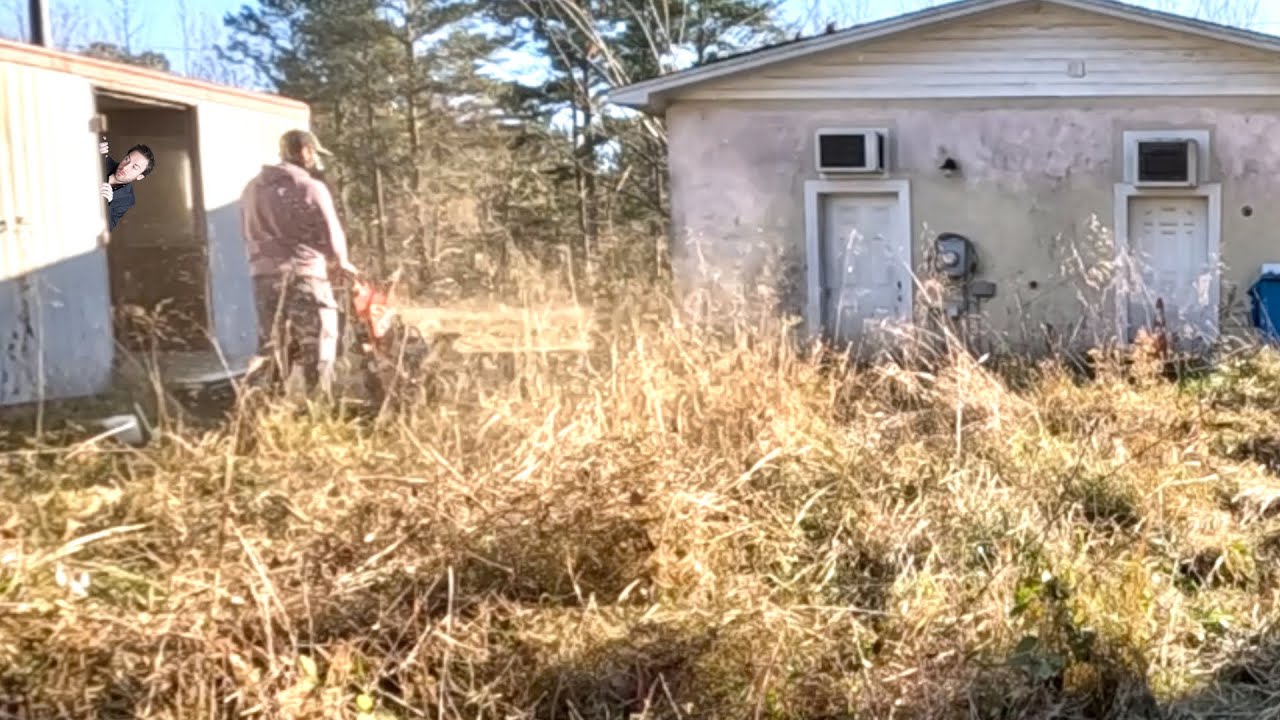 This HAS to be the STRANGEST backyard we have EVER mowed - YouTube