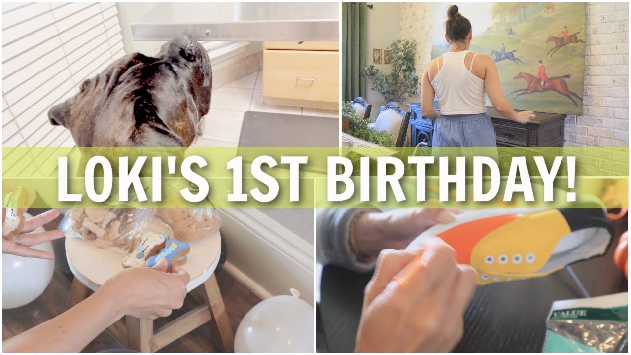 LOKI'S 1ST BIRTHDAY CELEBRATION AND PARTY! HE PEED ON ME LOL! | new ...