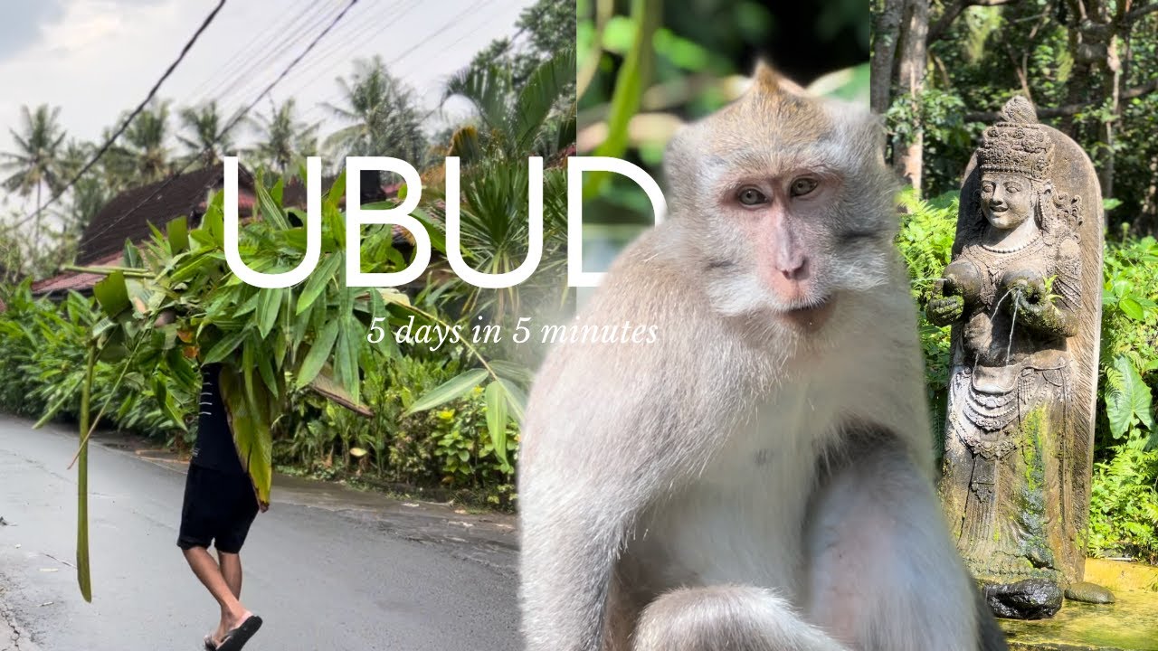 5 days in Ubud in 5 minutes - Bali (travelling with a toddler) - YouTube