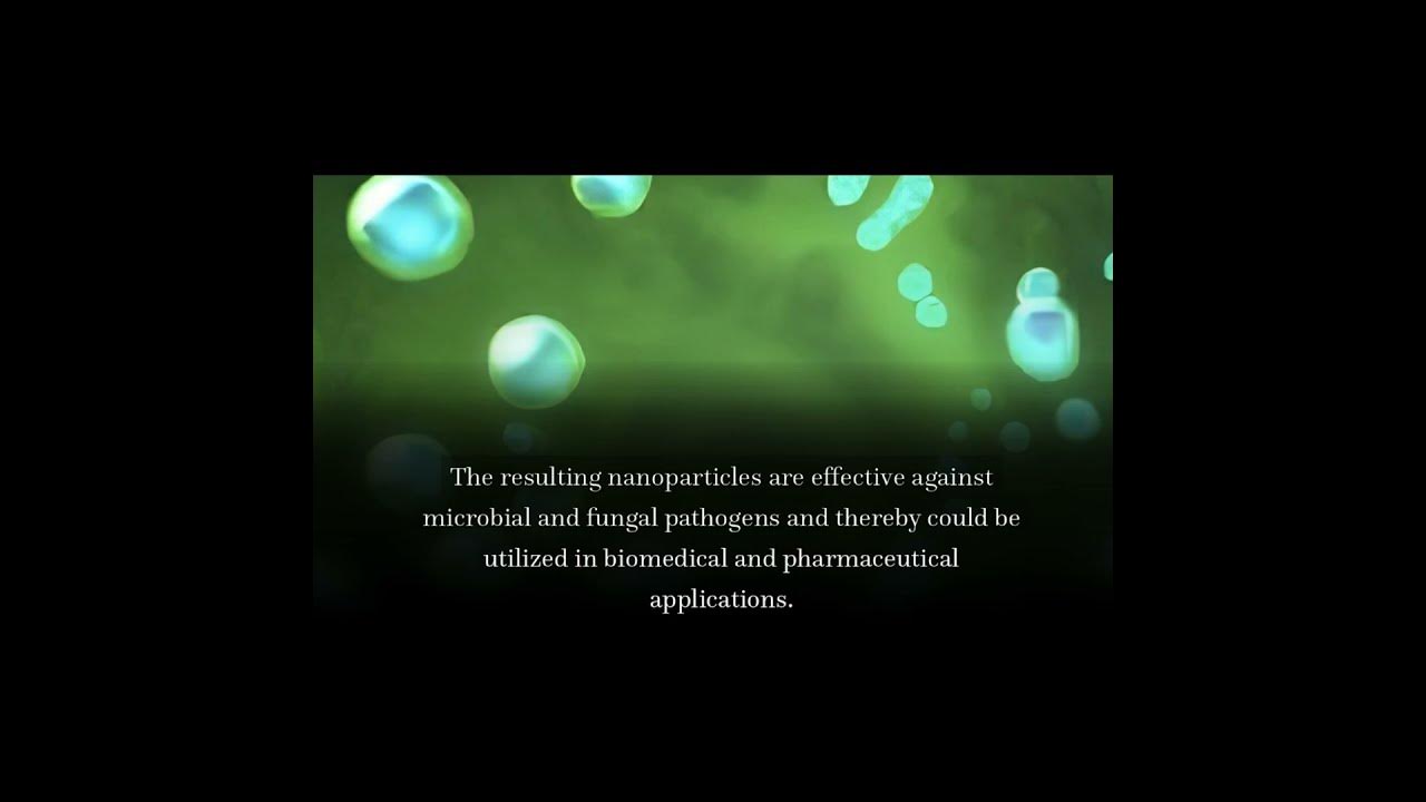 Biofabrication and characterization of silver nanoparticles using aqueous extract of ... | RTCL ...