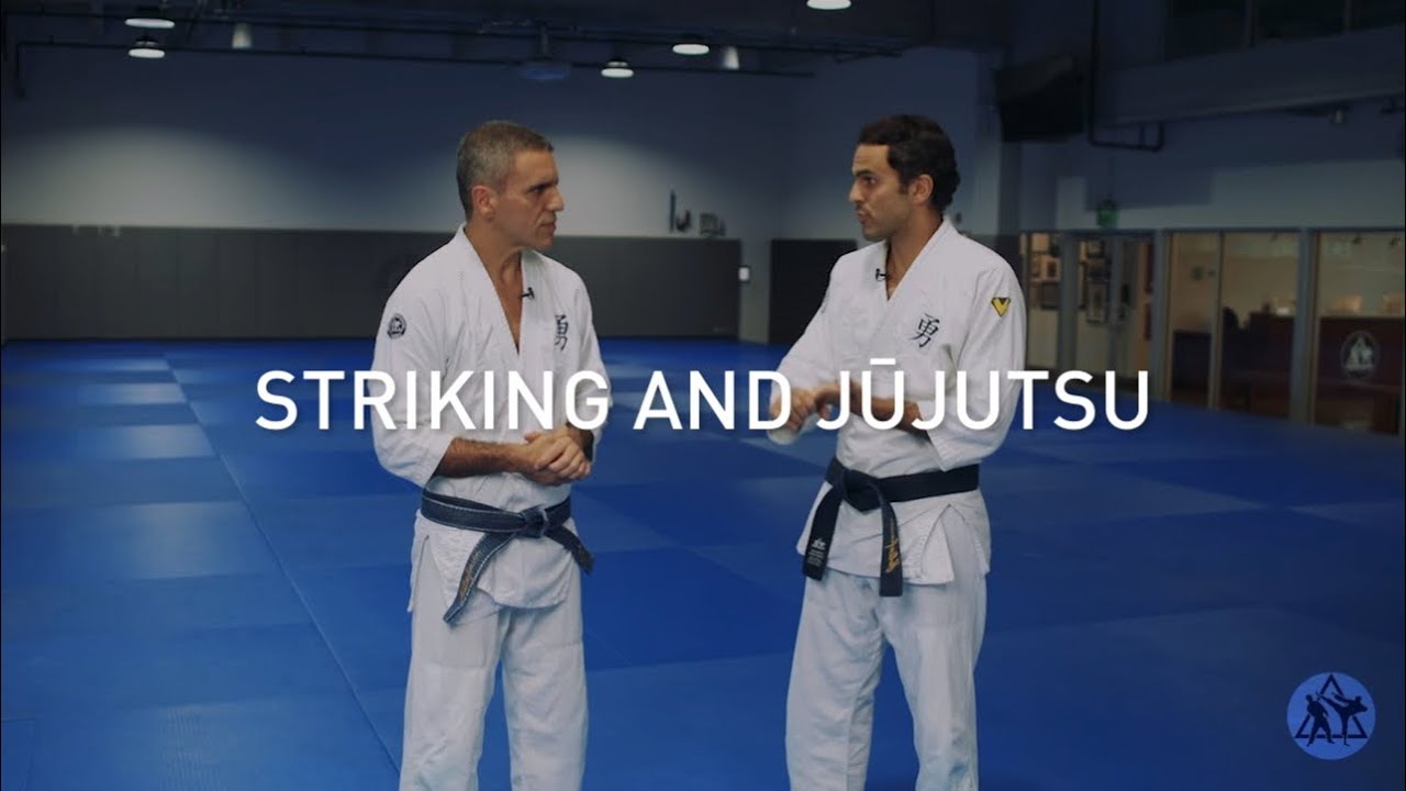 Striking and Jiu-Jitsu: Unraveling the Mystery of Striking's Absence in ...