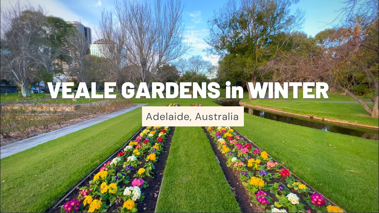 A stroll among the flowers of VEALE GARDENS (ambient sounds) | Adelaide ...