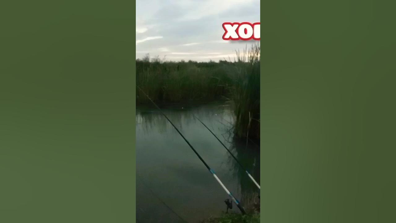 лакка - YouTube