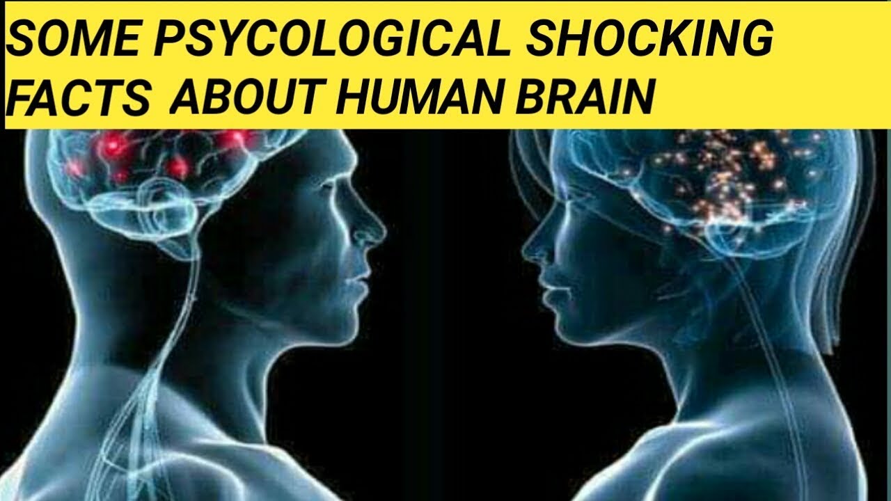 SOME SHOCKING FACTS ABOUT HUMAN BRAIN YouTube some-shocking-facts-about-human-brain-youtube