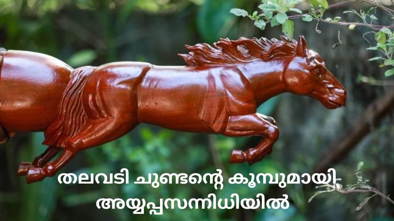 തലവടി ചുണ്ടന്റെ കൂമ്പുമായി അയ്യപ്പസന്നിധിയിൽ | Sabarimala Temple ...