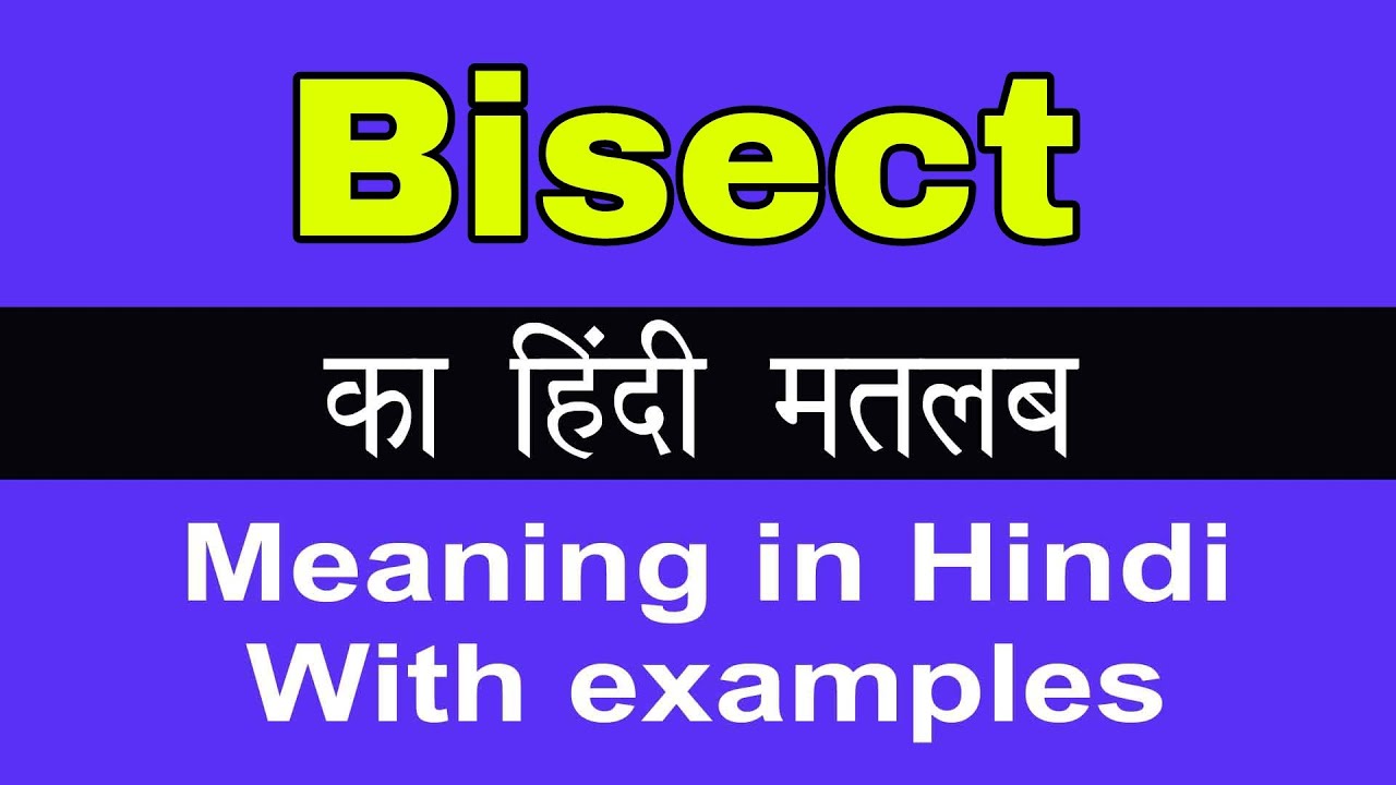 Bisect Meaning in Hindi/Bisect का अर्थ या मतलब क्या होता है - YouTube