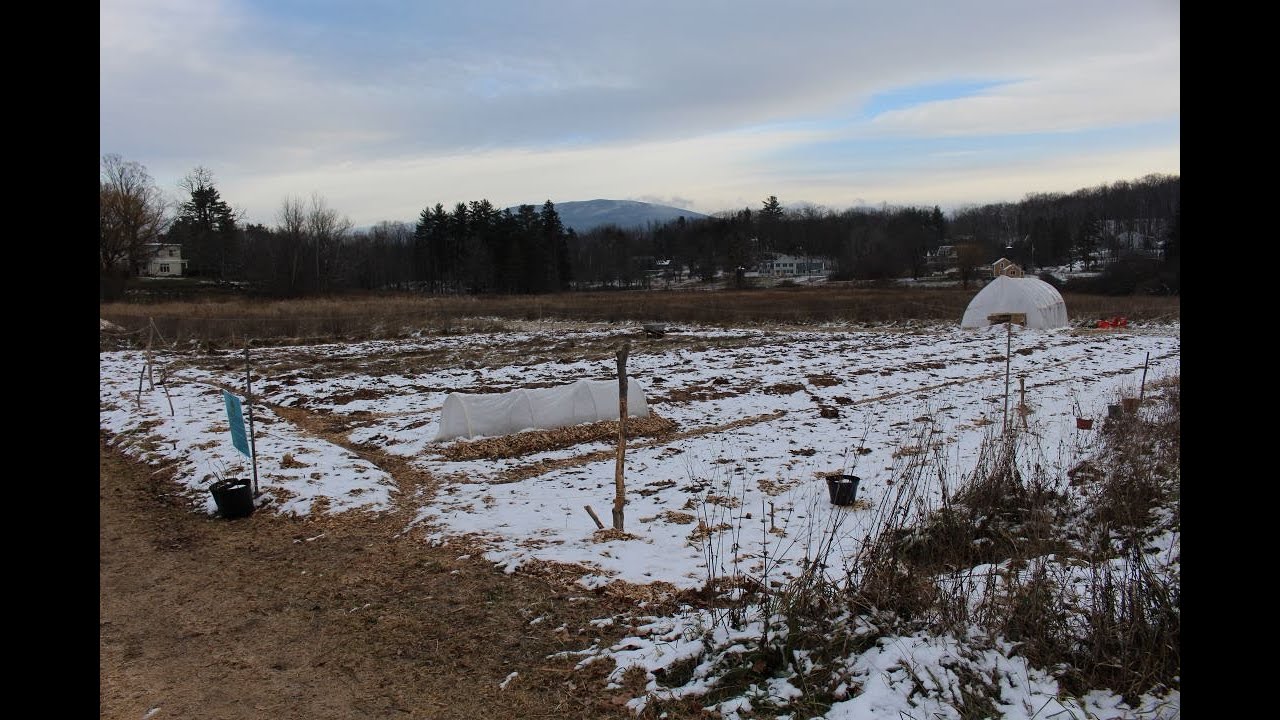 Brief Explanation Of Layout For The New Farm | 2024 - YouTube