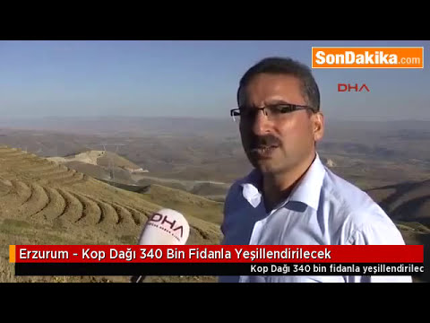 Kop Dağı 340 Bin fidanla yeşillendirilecek