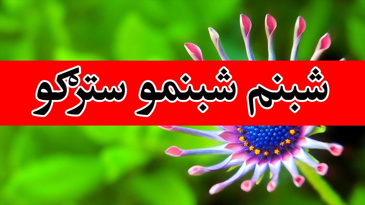 Shabnam Shabnamo Satargo Tar Sahar Madani _ Pashto Naat - YouTube