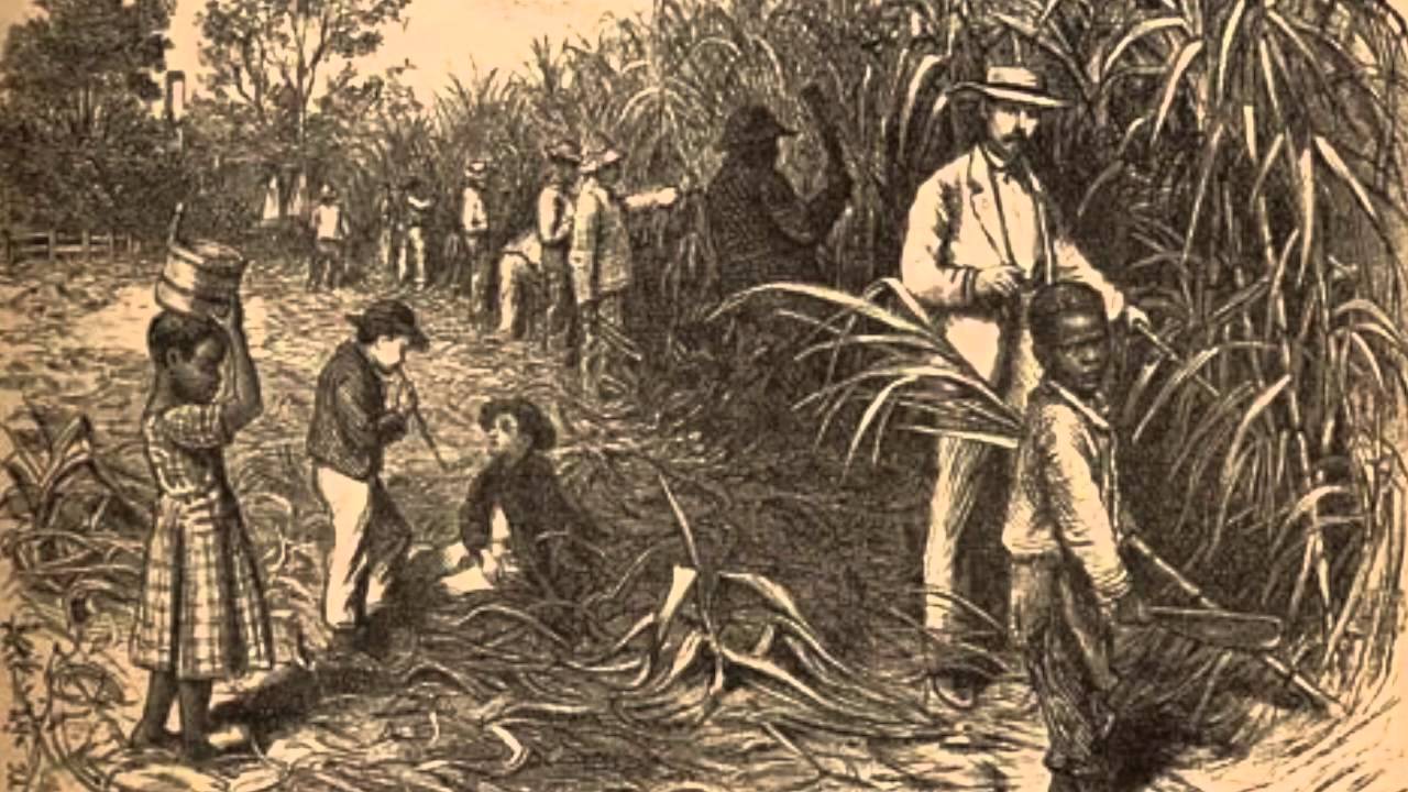 The Indigo Terror Culture Cast - YouTube