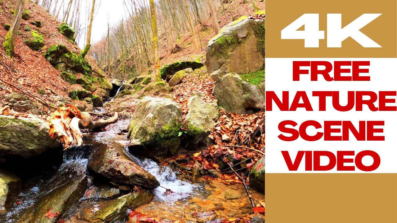 nature 4K 536 🌳 Nature Scene Video - YouTube
