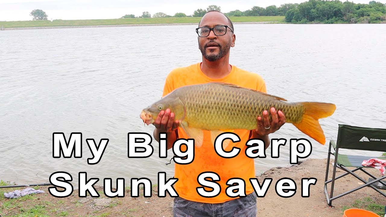 Big Carp Saved A Skunk. Hair Rig Boiled Field Corn - YouTube