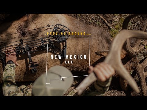 2020 Proving Ground // New Mexico Elk with Joe Sir