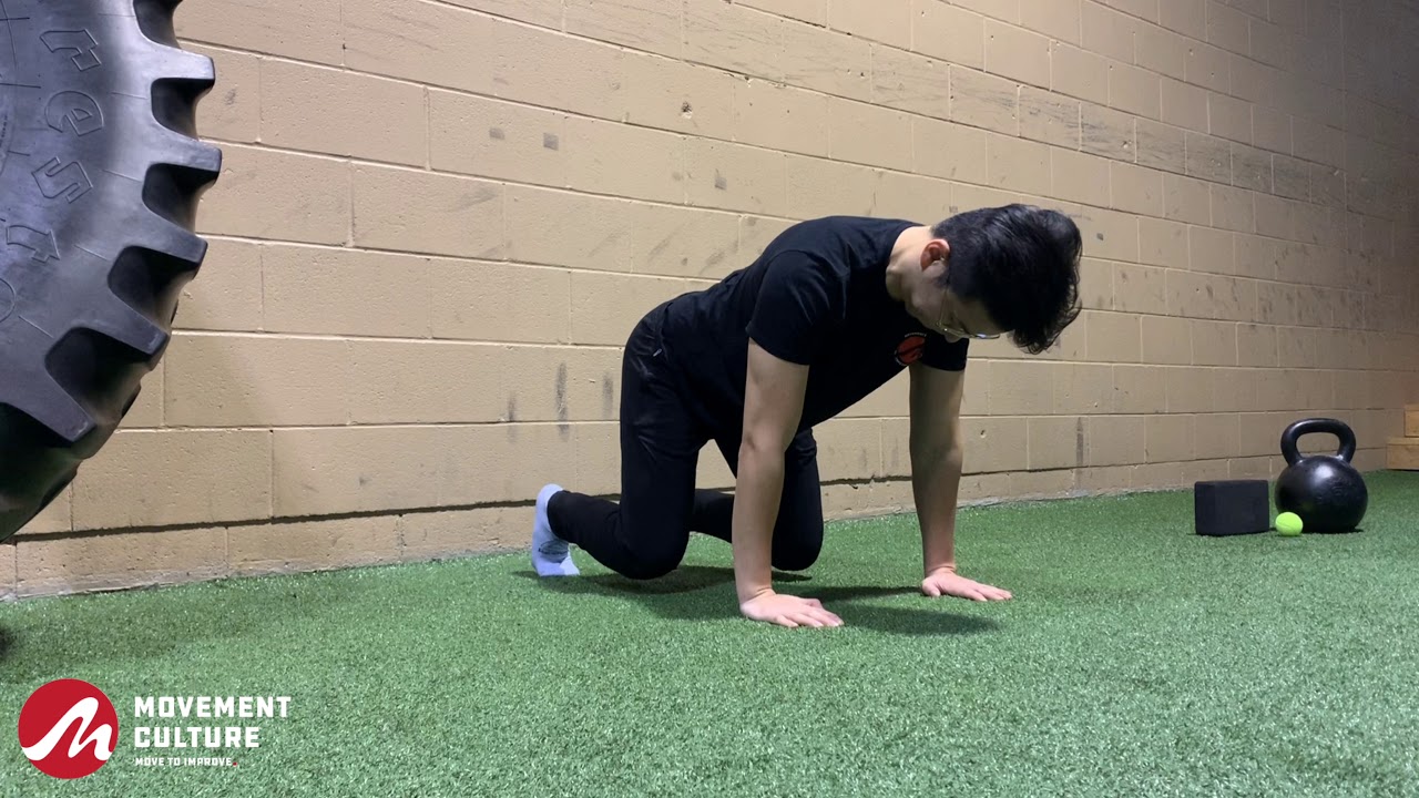 Animal Flow - Active Beast with Cues - YouTube