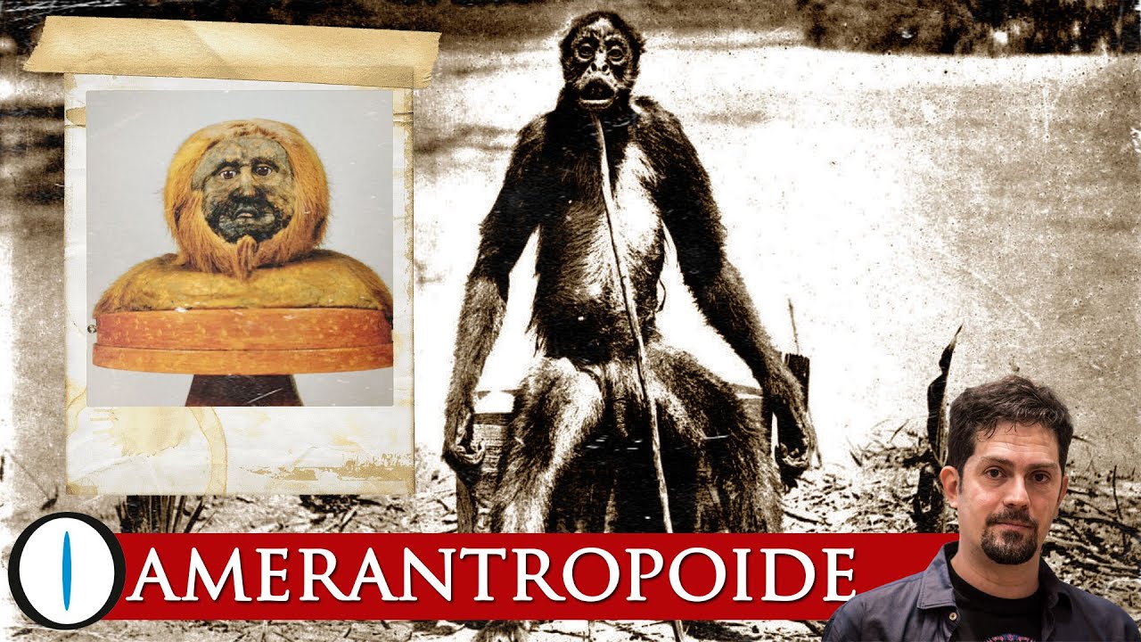 La SCIMMIA di DE LOYS e il dibattito sull'evoluzione umana. - YouTube