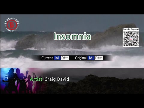 🎵 Insomnia - Craig David (Karaoke Version) - YouTube