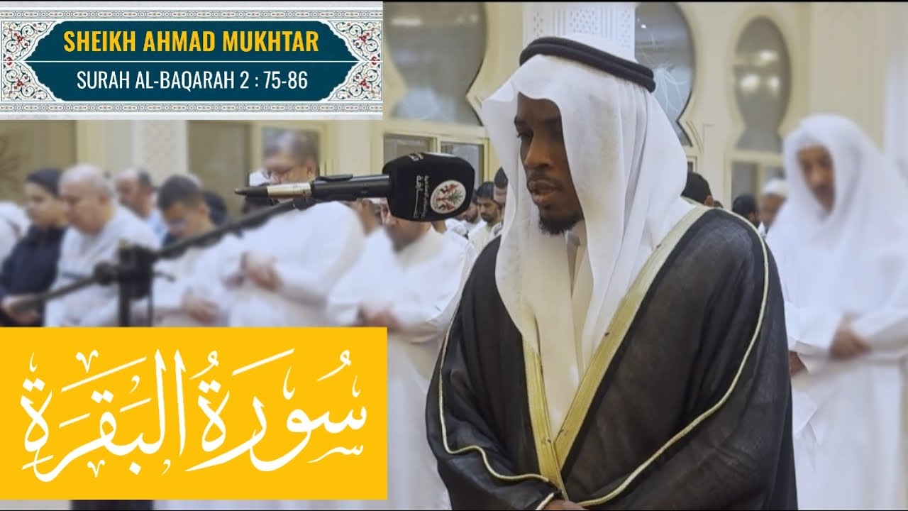 Voice from Heart Beautiful Quran Recitation,Qari/Reciter : Sheikh Ahmad ...