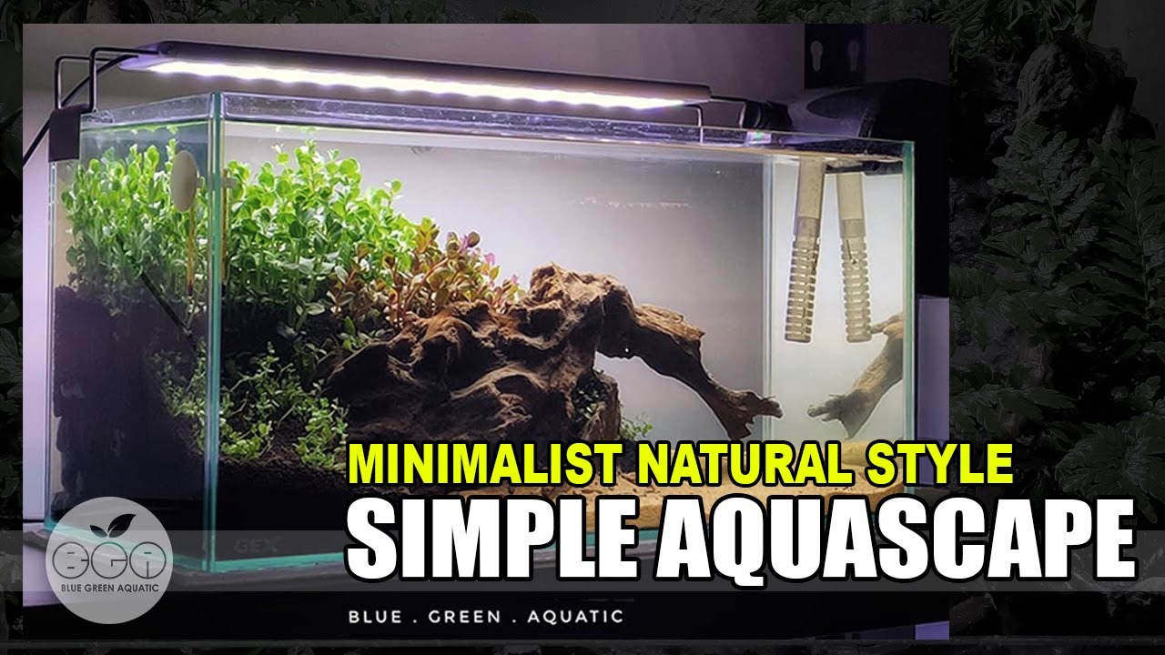 #21 - SIMPLE AQUASCAPING | 45 CM TANK - PART 1 - YouTube
