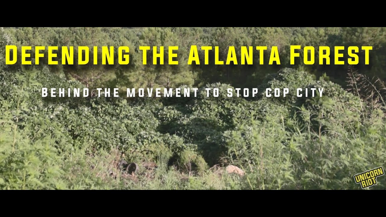 Defending the Atlanta Forest: Behind the Movement to Stop Cop City ...