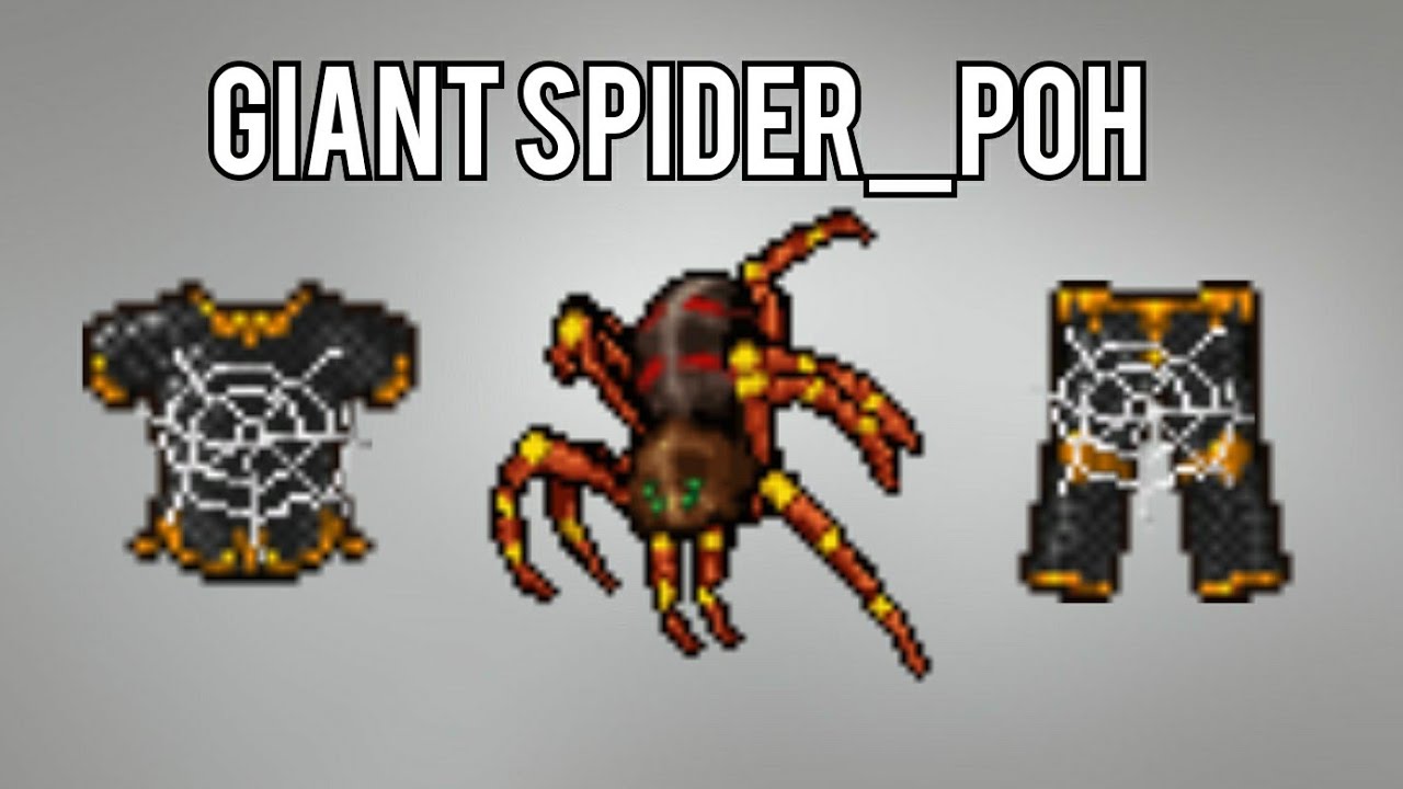 Tibia | Facc .13. | POH HUNT | giant spiders | Dragons | Venore ...