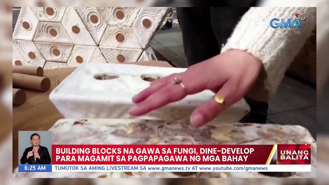 Building blocks na gawa sa fungi, dine-develop para magamit sa ...