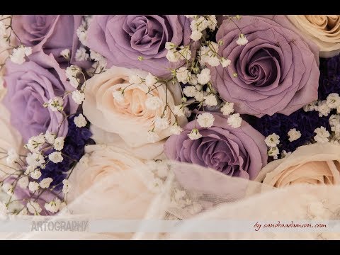 Halifax Wedding Photographers and Videographers White Point Wedding Highlight Reel
