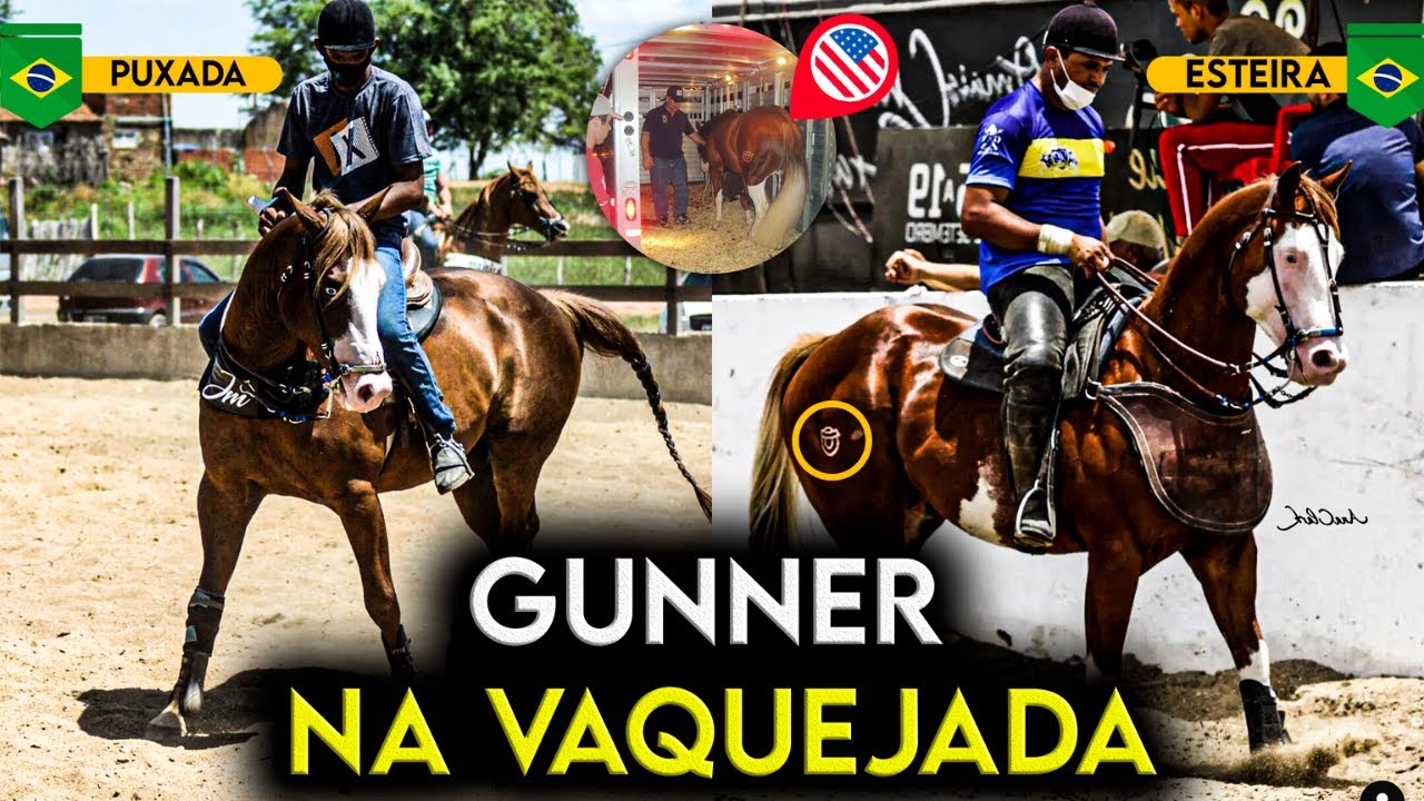 OS GUNNER CHEGARAM NA VAQUEJADA !!! GUNNER BOY GARANHÃO 100% - YouTube