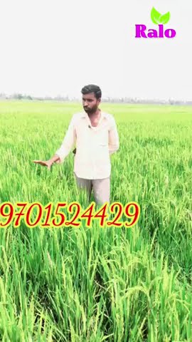 swamy-3 మొదట అందరూ నిందించారు తర్వాత వాళ్ళే మెచ్చుకున్నారు|vari natu ...