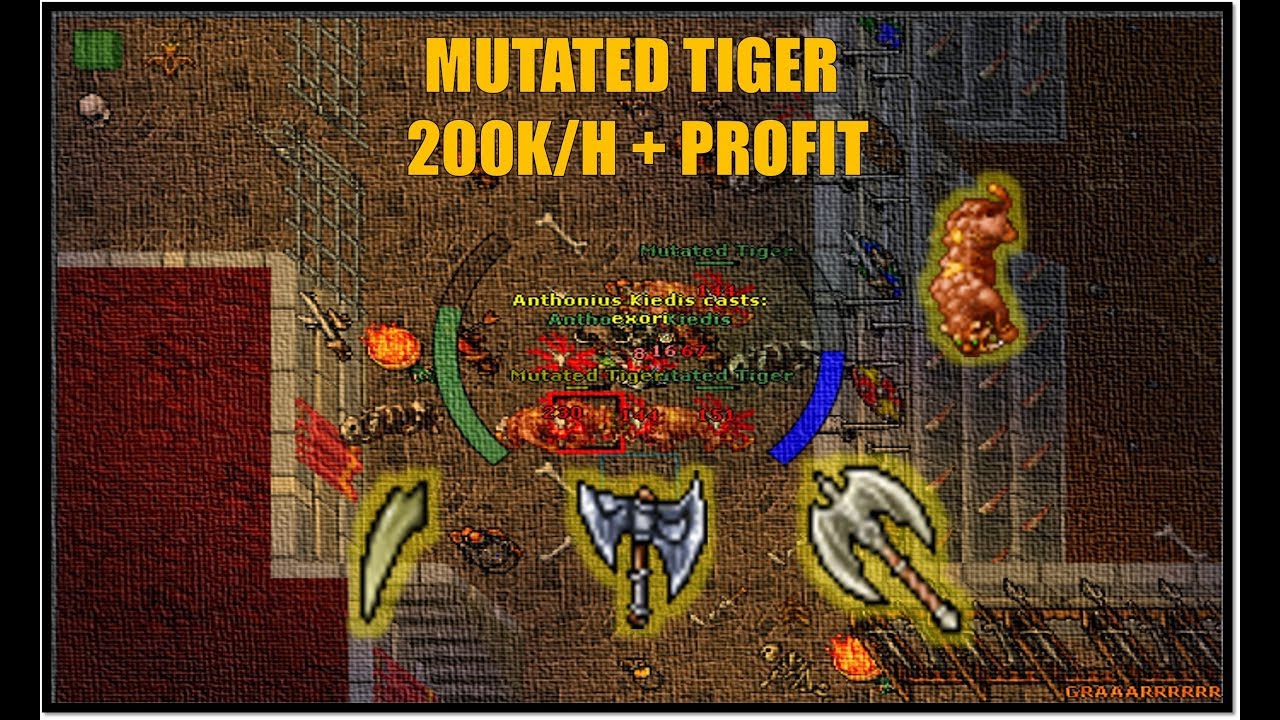 Tibia - Mutated Tiger Hunt/Task Yalahar - lvl 50+ (FULL PROFIT) - YouTube
