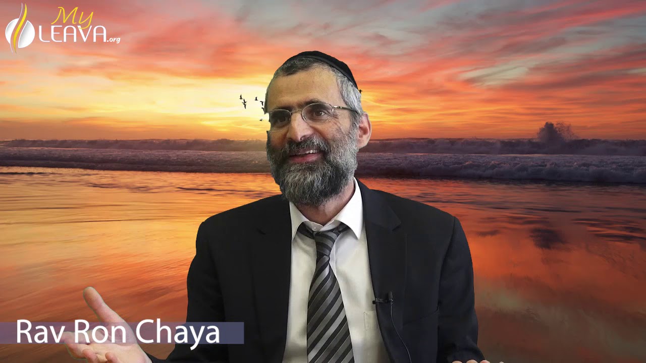 L'avantage du débutant - RAV RON CHAYA - YouTube