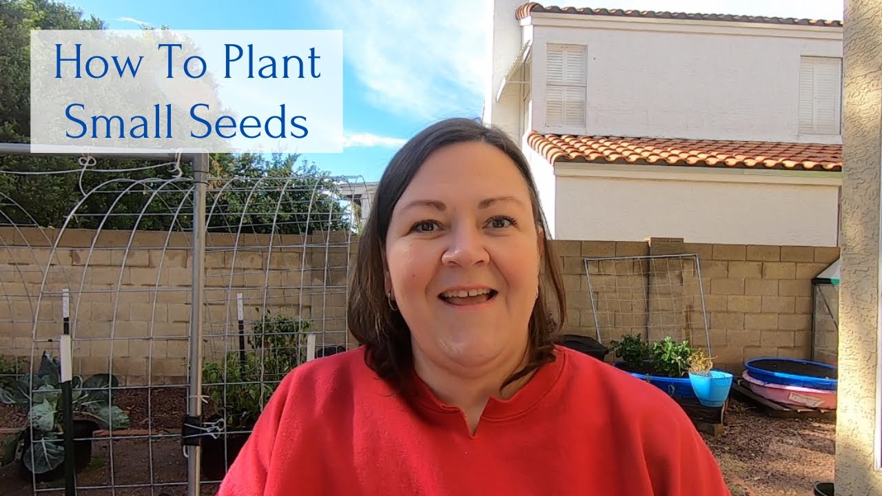 How to plant small seeds Small Seed Planting tips - YouTube