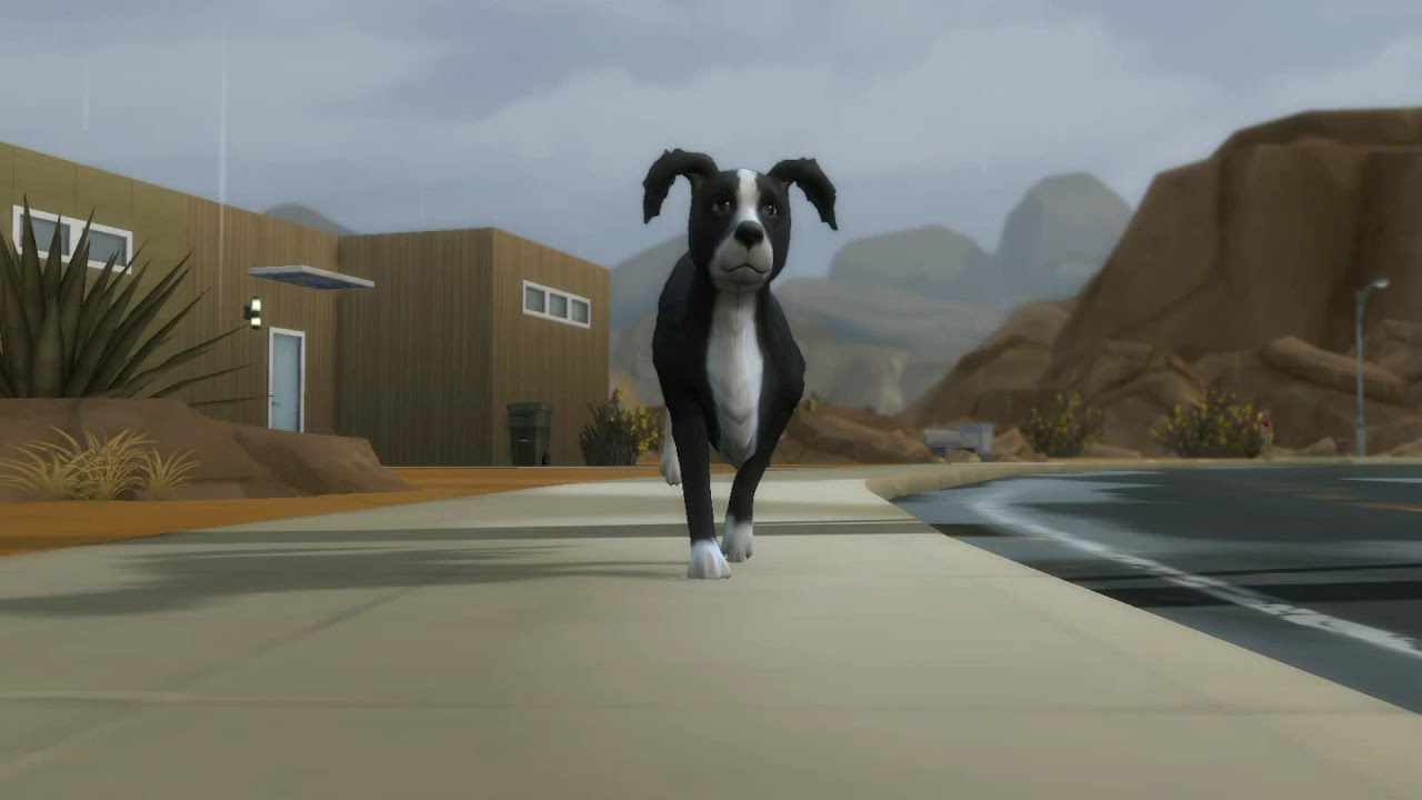 | Mr. Pickles | Intro | The Sims 4 | - YouTube