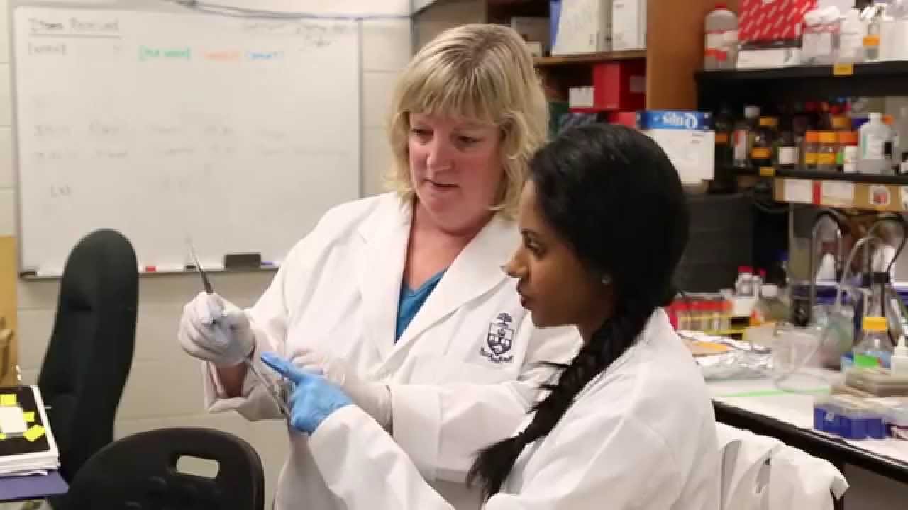 Stronger Science Through Collaboration - YouTube