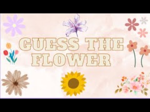 GUESS THE FLOWERS🌼🌻 - YouTube