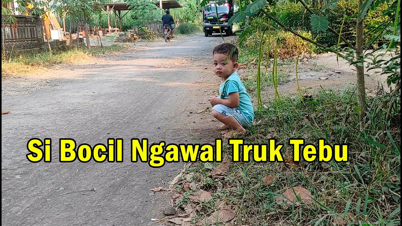 Si Bocil Ngawal Truk Tebu // Aneka Hewan, Kucing, Harimau, Sapi, Ayam // Mr. Dump Dump - YouTube
