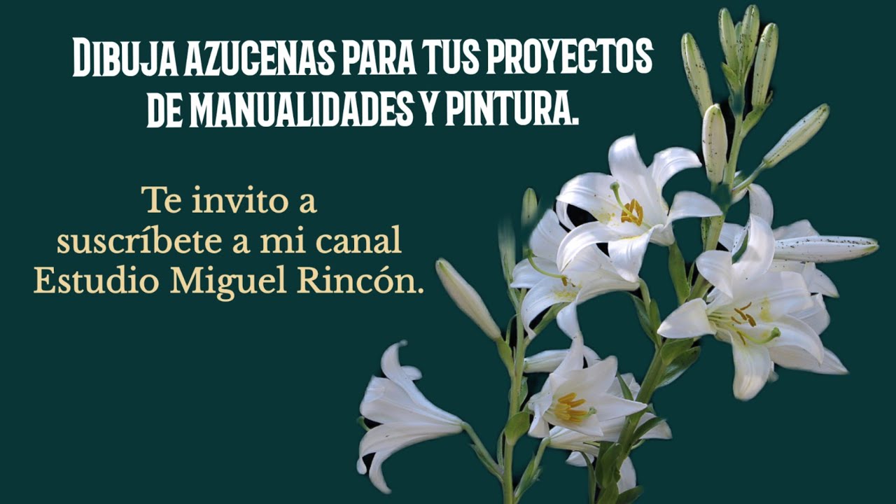 Azucenas en lapiz para poner color / #boceto o #dibujo #manualidades # ...