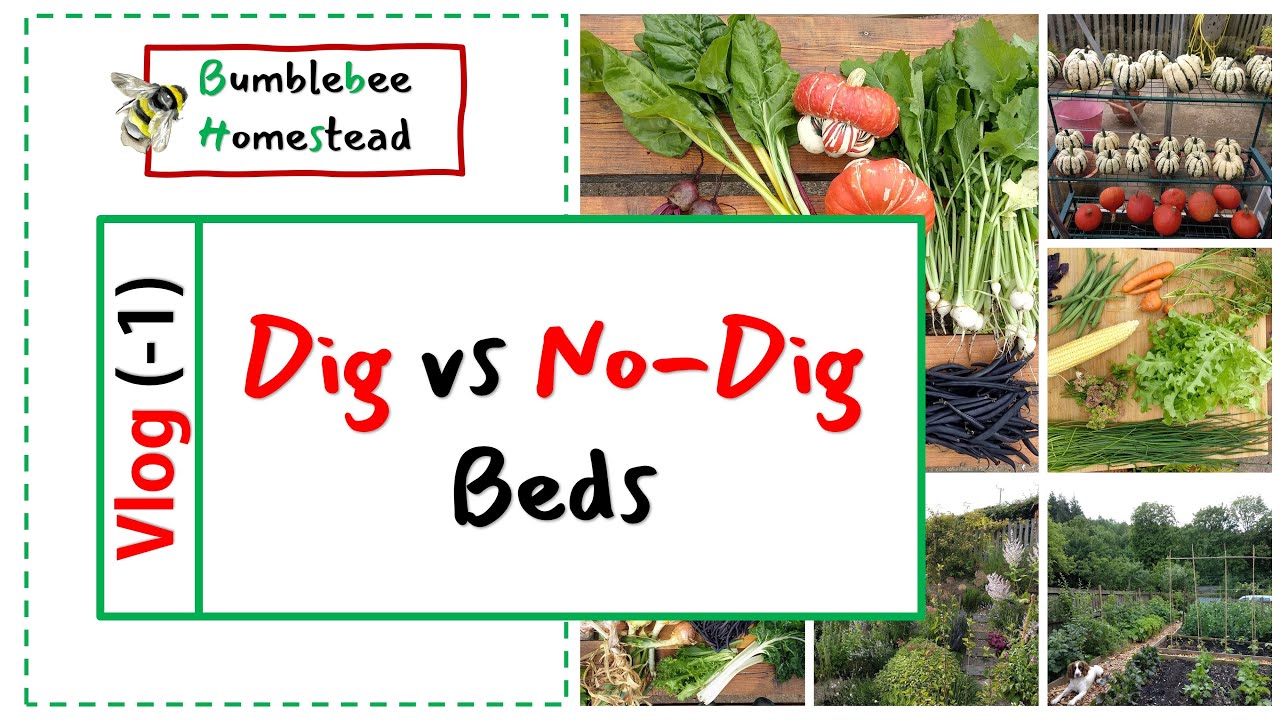 Dig vs No-Dig garden beds - YouTube