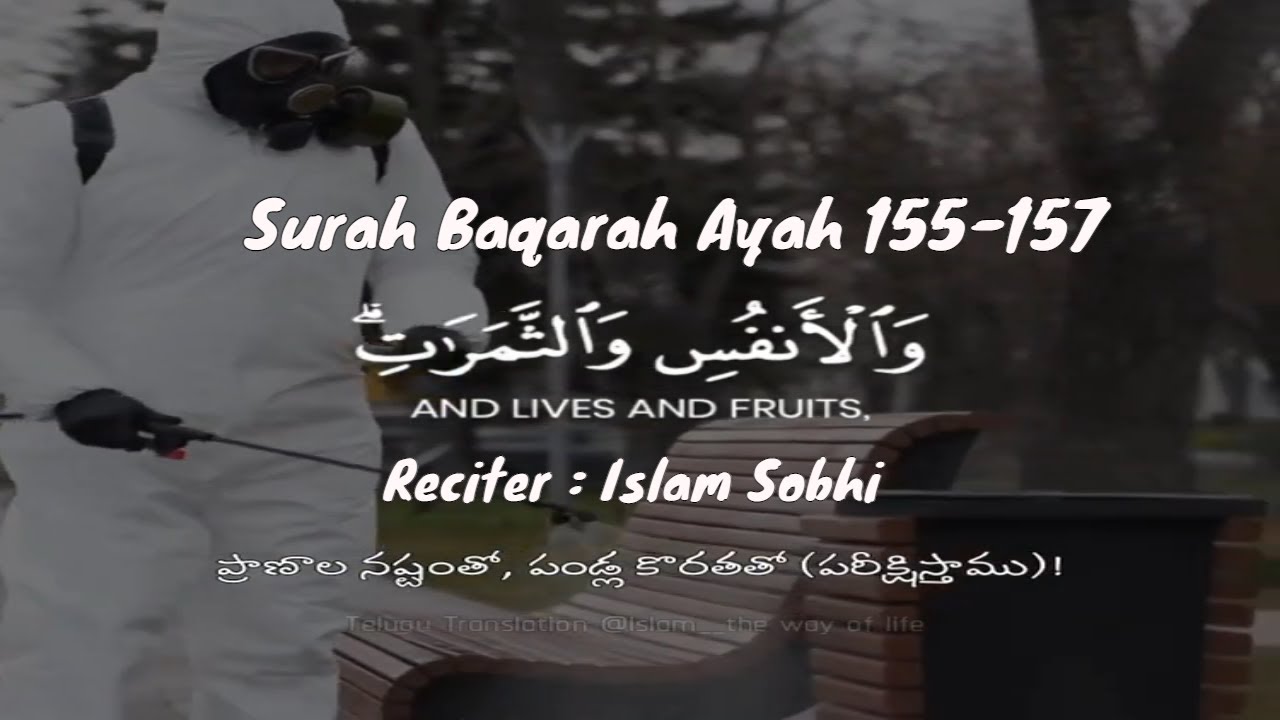 Islam Sobhi | Surah Baqarah | Ayah 155-157 | Beautiful Quran recitation ...