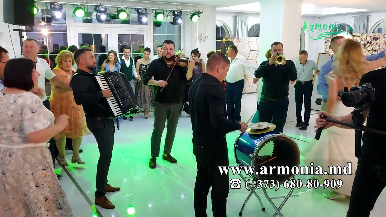 Lautarii de la Formatia Armonia Chisinau 💢 Mega veselie la nunta Iasi ...