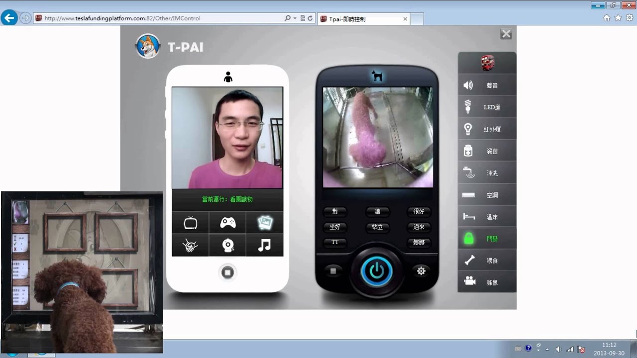 Pet-Station, Intelligent Pet Touching Game Device - YouTube