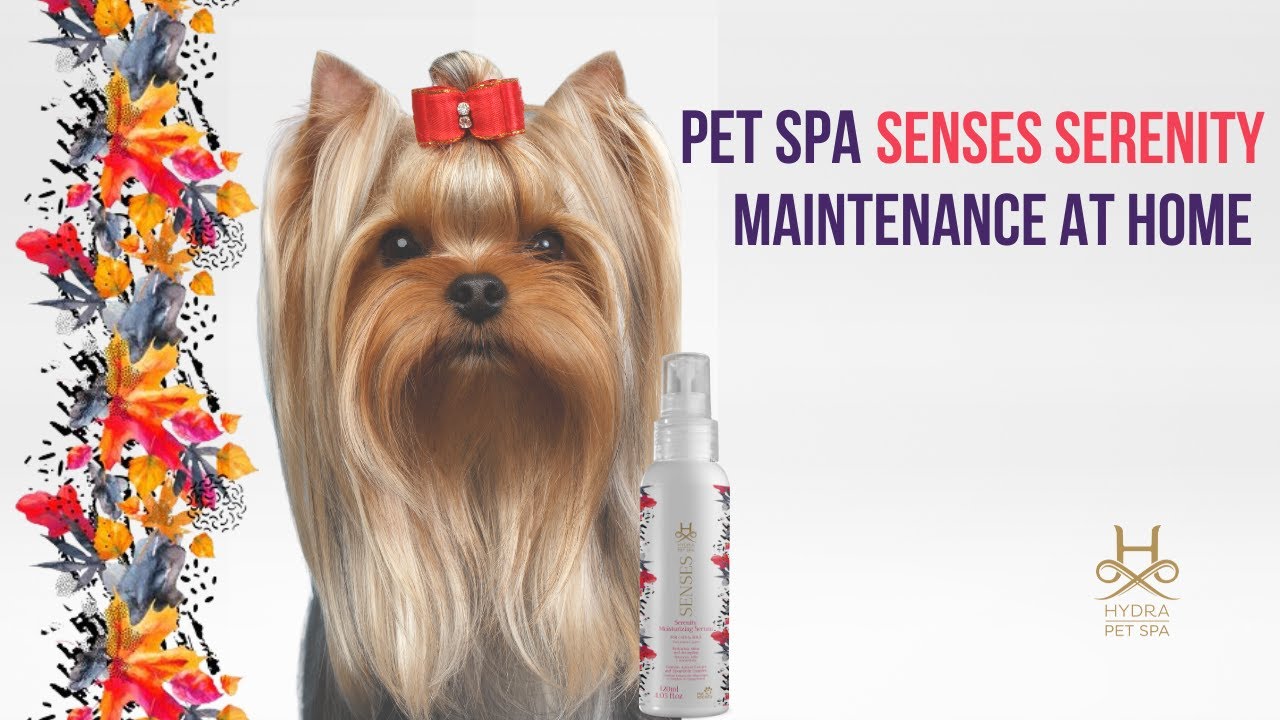Hydra - Step by Step: Pet Spa Senses Serenity Maintenance at Home - YouTube