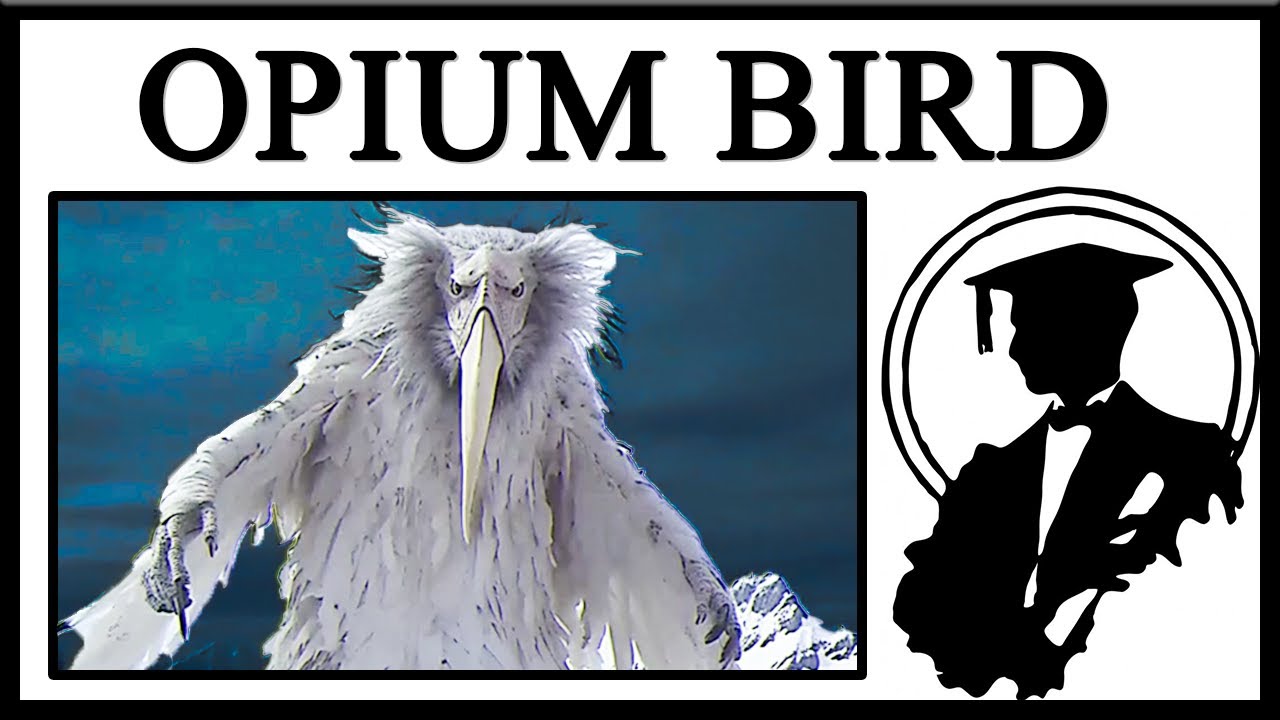 Is The Opium Bird Real? - YouTube