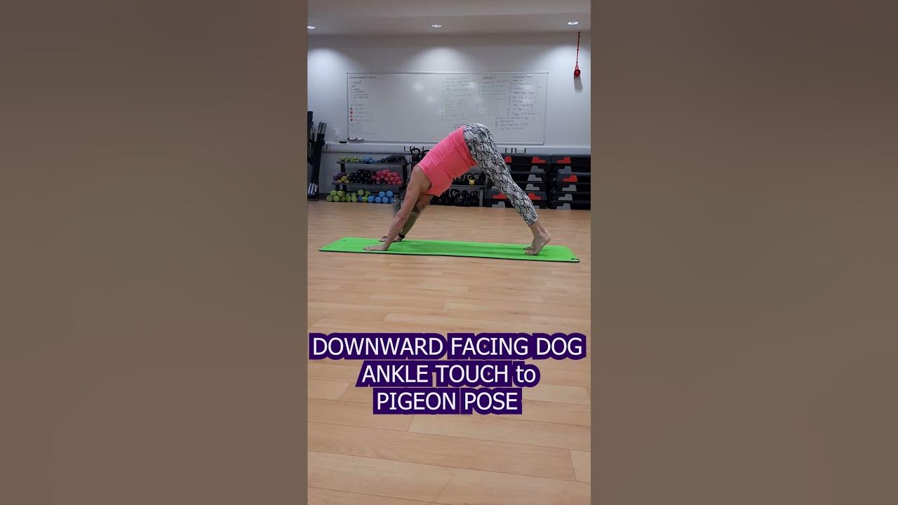 DOWNWARD FACING DOG-ANKLE TOUCH-PIGEON POSE #infraction #yoga #core #stretch #shorts #subscribe ...