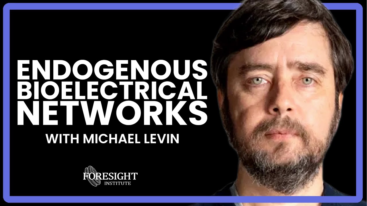 Michael Levin | Endogenous Bioelectrical Networks: An Interface to ...