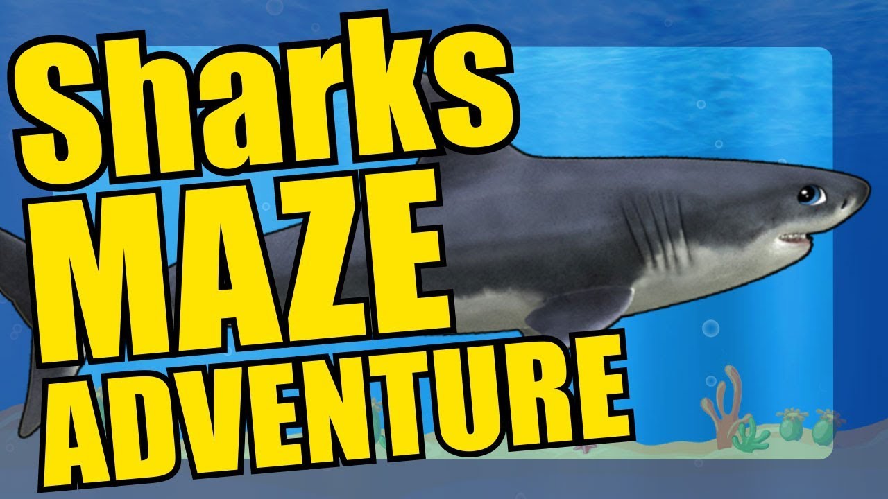 Shark Maze Adventure - YouTube