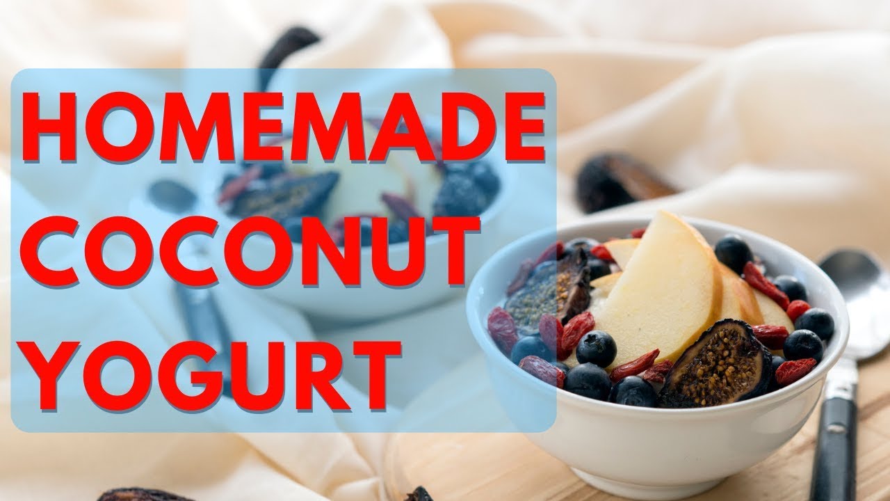 Homemade Coconut Yogurt Recipe (Vegan & Dairy-Free!) - YouTube