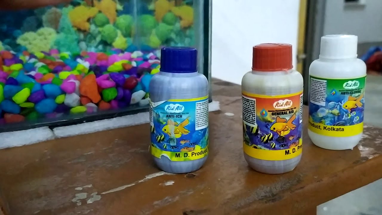 Fish Aquarium and fish food..... Fish food cheap ! All explained in ...