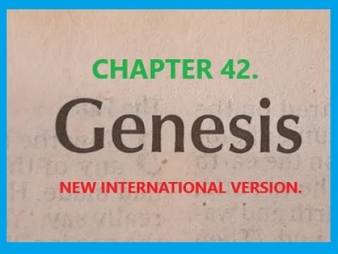 Bible Reading: Genesis chapter 42. NEW INTERNATIONAL VERSION. - YouTube