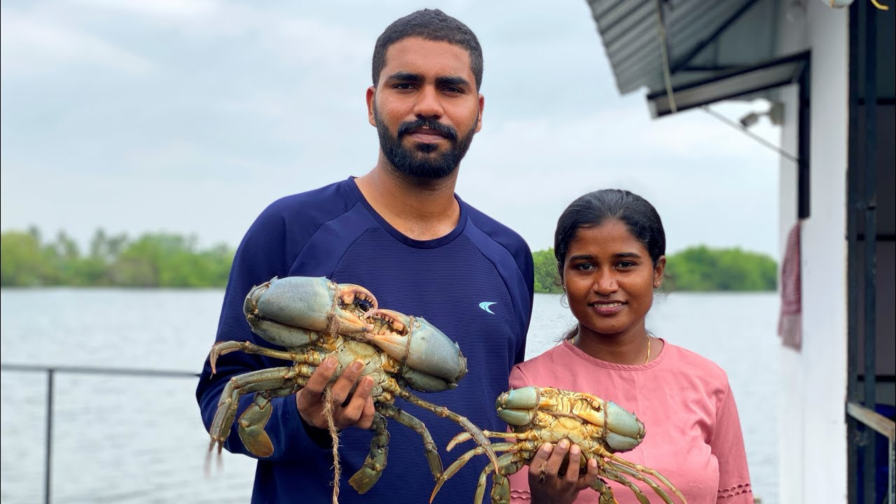 വിദ്യാർത്ഥികളുടെ ഞണ്ട് കൃഷി | Crab Fattening | Mud Crab Farming - YouTube