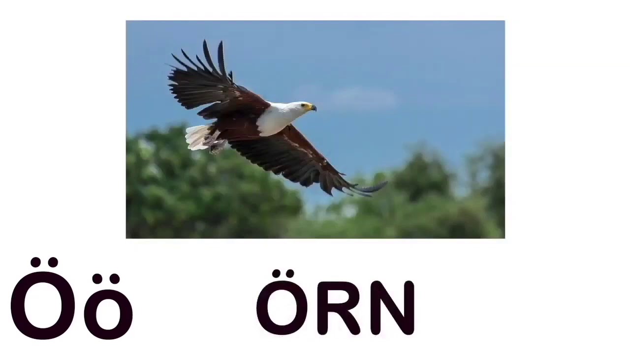 Bokstaven Ö | Lär dig alfabetet och bokstäver | ABC SVENSKA | Barnens ...
